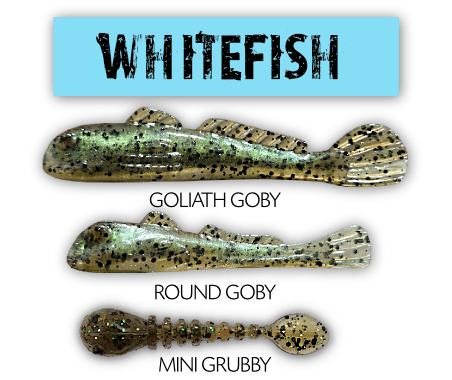 Welcome to Grumpy Bait Company - The original goby bait specialists.