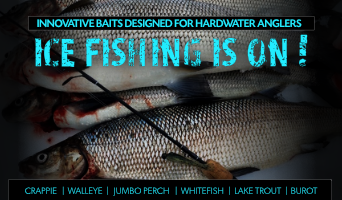 Welcome to Grumpy Bait Company - The original goby bait specialists.