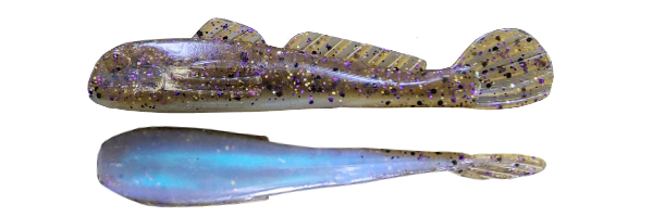 GOLIATH GOBY