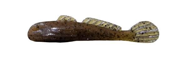 GOLIATH GOBY